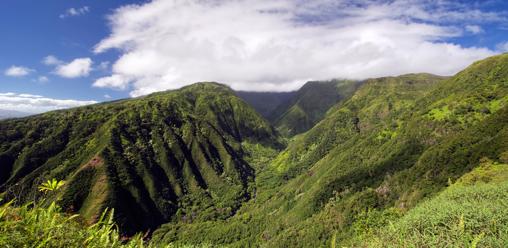 Are You Ready for a Trip to Hill Valley? - Aberdeen Strategy & Research