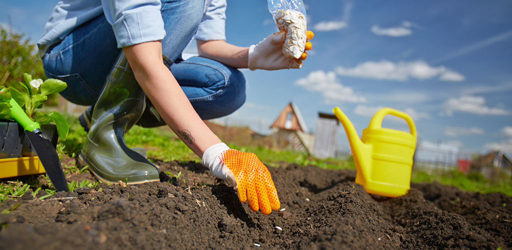 4 Steps to Grow Demand with Well-Aligned Content