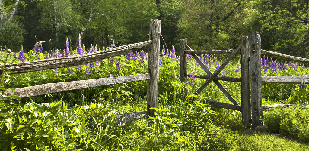 Podcast Power: The Risks & Rewards of Using an Ungated Channel ...