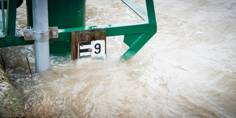 Turn the Tide on Data Floods [Webinar] - Aberdeen Strategy & Research
