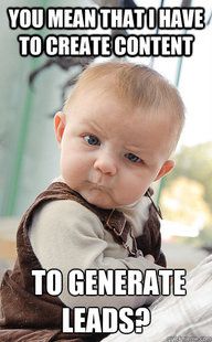 Content Marketers: Are Your Memes Dank? - Aberdeen Strategy & Research